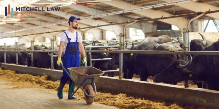 Southern California Farmworkers Injury Attorney | Accident Law Firm